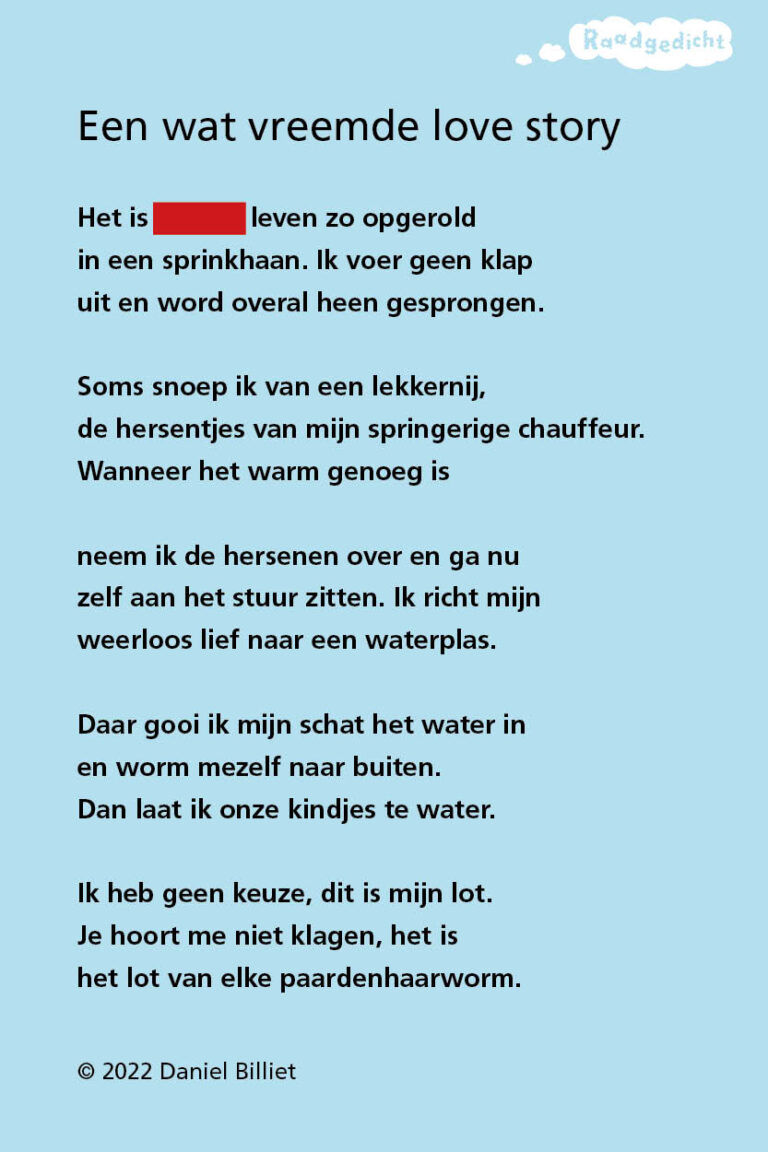 Een wat vreemde love story – Daniel Billiet – week 4 | Raadgedicht